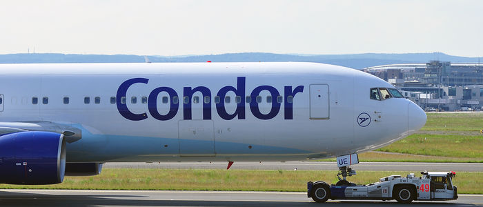 Condor flights