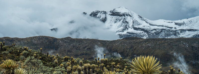 Parques Naturales en Colombia: cuáles visitar, cómo llegar y qué hacer