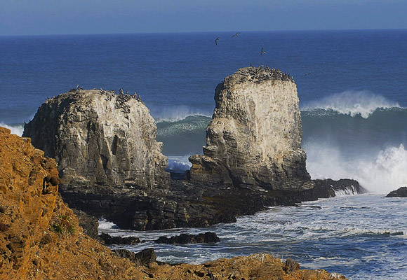 Pichilemu: mucho más que surf