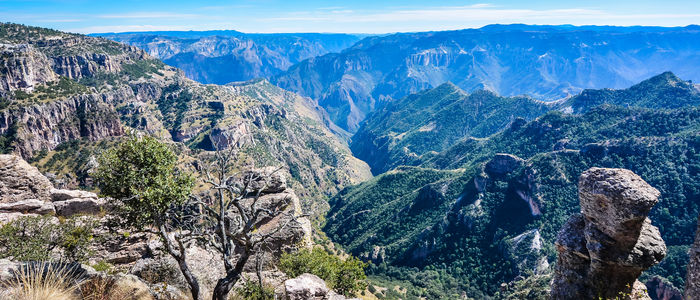 Vuelos a Ciudad Juárez