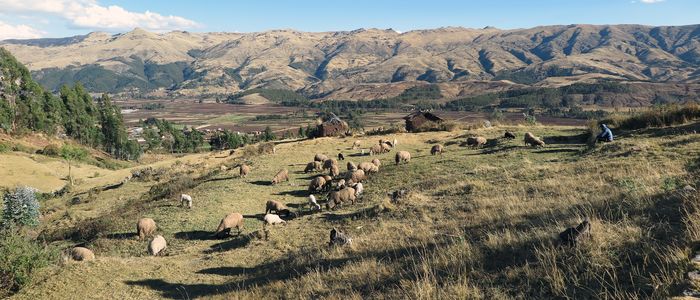 Vuelos Iquique-Jauja