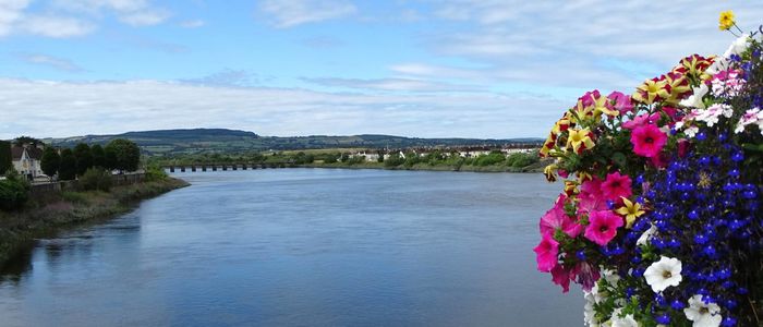 Cheap flights to Shannon from $ 843